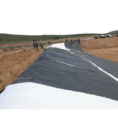 Cina 1m-10m di larghezza superficie doppia liscia stagno di pesci Geomembrana flessibile in HDPE per l'acquacoltura in vendita