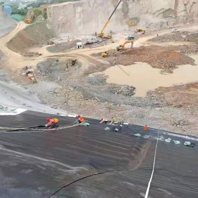 Cina Anti-Seepage HDPE 1.0mm Geomembrane Fish Farm Pond Liner realizzato in materiale vergine al 100% in vendita