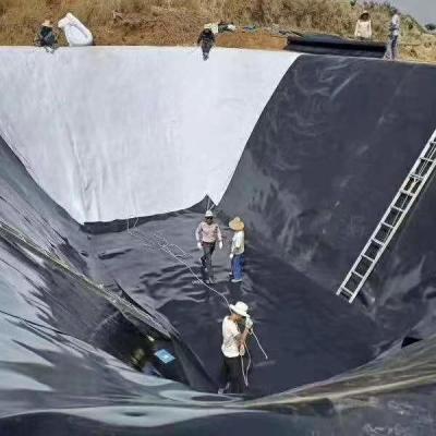 Cina 0.1mm 3mm HDPE Geomembrane Pond Liner per Fish Shrimp Farm 100% materiale HDPE vergine in vendita