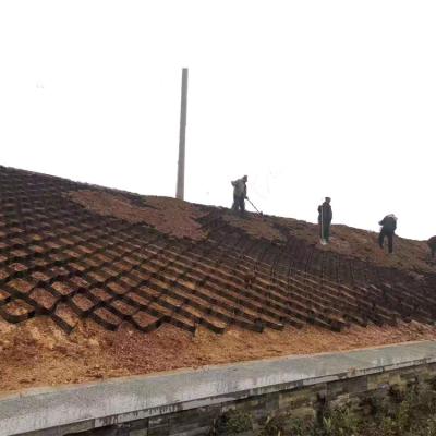 Cina Sistema cellulare di potenziamento del terreno con geocelle in HDPE per la stabilizzazione della strada stradale della griglia di ghiaia in vendita