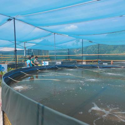 Cina 0Geomembrane da.75 mm prodotte con stile di progettazione industriale nelle Filippine in vendita