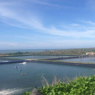 Cina Isolamento idraulico di stagni di allevamenti ittici con geomembrana in HDPE vergine al 100% in progettazione industriale in vendita