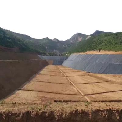 Cina 1m-10m Larghezza Geomembrana HDPE 0,2-3mm Liner stagno per pesce stagno piscina digestore in vendita