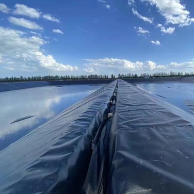 Cina GB/ASTM GRI-GM13 Geomembrana composita standard per l'allevamento ittico stile di progettazione industriale in vendita