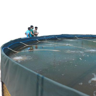 Cina 1m-10m larghezza HDPE Geomembrane Liner per pesce gamberetti Farm Saldatura macchina per beneficiare delle aziende agricole in vendita
