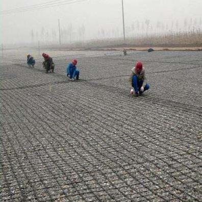 Cina Geogridi certificati CE/ISO9001/ISO14001 per l'armatura stradale aeroportuale e dei muri di sostegno in vendita