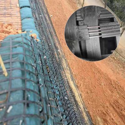 Cina Geogrid in plastica in acciaio ad alta resistenza alla trazione per il mantenimento dei muri e dei viali in vendita