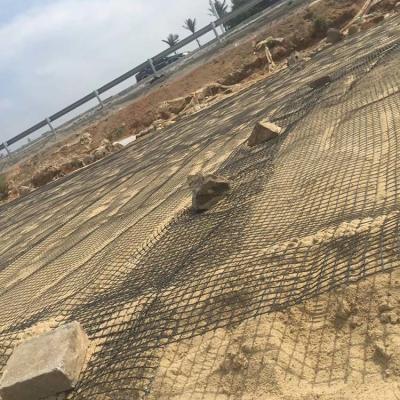 Cina Geogrid per il rinforzo della strada di ingresso, parete di sostegno, plastica biassiale in vendita