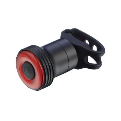 China Brake Sensing Bicycle Rear Lights Ultra Bright LED Waterproof Cycling Safety Taillight for sale