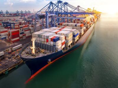 China DDP China nach Kanada LCL Containerschifffahrt Seeschifffahrt in die Vereinigten Staaten zu verkaufen