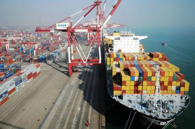 China Port To Port Ocean Freight FCL Container Shipping From China To Canada for sale