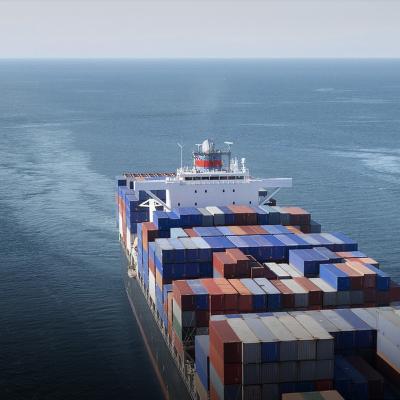 Cina Sea Freight Ddu Shipping Warehouse Consolidation / Labelling / Inspection Credit Card Payment in vendita