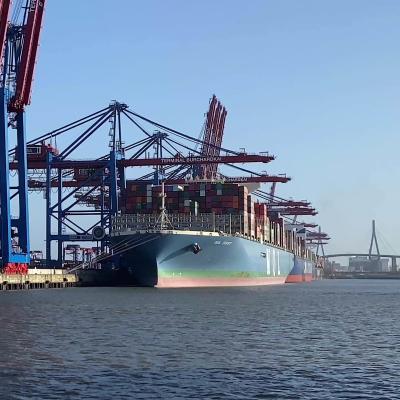 Cina 20gp / 40gp / 40hq / 45hq Delivery Duty Unpaid Lcl Pick Up Available in vendita