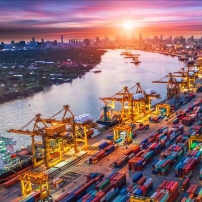 Cina Fcl / Lcl Ddu Shipping Service 20gp / 40gp / 40hq / 45hq Bank Transfer Payment in vendita