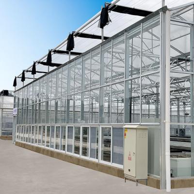 Cina La multi portata Hyroponic ha galvanizzato i corredi agricoli di vetro della serra di Venlo del galleggiante in vendita