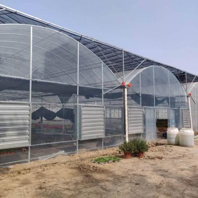 Cina Industriale commerciale agricolo della multi serra della portata della pellicola di polietilene in vendita