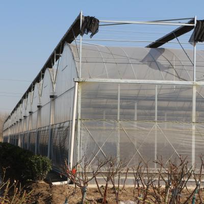 Cina Industriale commerciale agricolo della multi serra della portata della pellicola di polietilene in vendita
