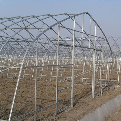 Cina Agricoltura che coltiva la serra crescente del film plastico del tunnel per la crescita del pepe in vendita