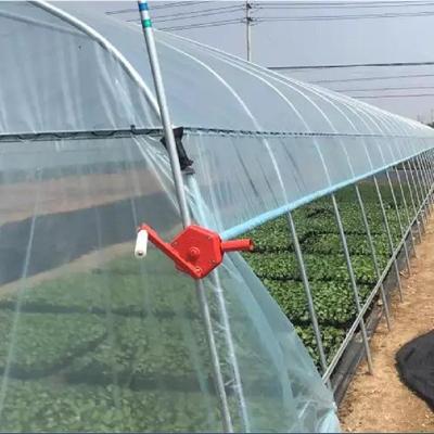 Cina Agricoltura che coltiva la serra crescente del film plastico del tunnel per la crescita del pepe in vendita
