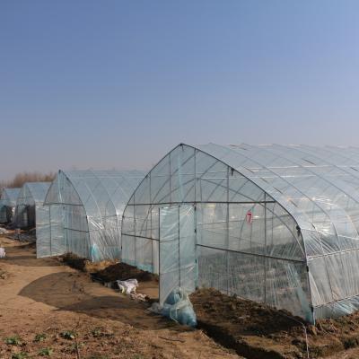 Cina Agricoltura che coltiva la serra crescente del film plastico del tunnel per la crescita del pepe in vendita