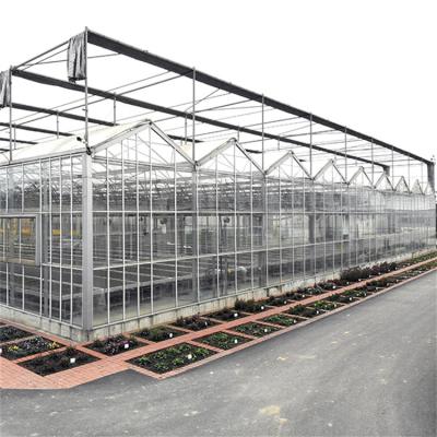 Cina Serra olandese professionale di vetro all'aperto industriale di Multispan di vetro della serra del fiore di agricoltura per la piantatura del fiore in vendita