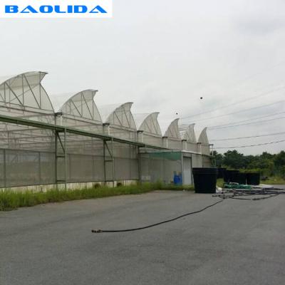 Chine Matériel multi de feuille de plastique de serre chaude d'envergure de tunnel de culture de légumes à vendre