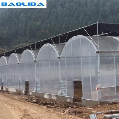 Chine Matériel multi de feuille de plastique de serre chaude d'envergure de tunnel de culture de légumes à vendre