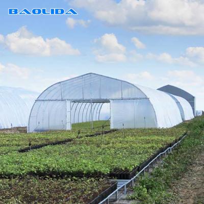 Китай Одиночные наборы парника Polytunnel пяди обрабатывая землю небольшое или крупноразмерное опционное продается