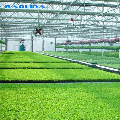 Chine Matériel multi de feuille de plastique de serre chaude d'envergure de tunnel de culture de légumes à vendre
