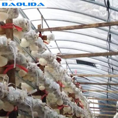 Κίνα Εσωτερικός χάλυβας τρία καυτής εμβύθισης θερμοκηπίων μανιταριών γαλβανισμένος πλαστική ταινία στρώματος PEP προς πώληση