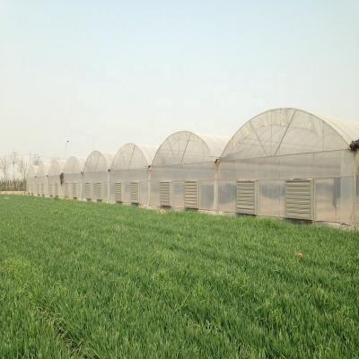 중국 고온 침지 아연도강 바람 저항 측면 환기 다중 전폭 온실 판매용