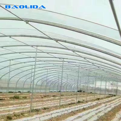Κίνα Διπλό 10m θερμοκηπίων ταινιών αψίδων διπλό πλαστικό θερμοκήπιο σηράγγων πλάτους προς πώληση