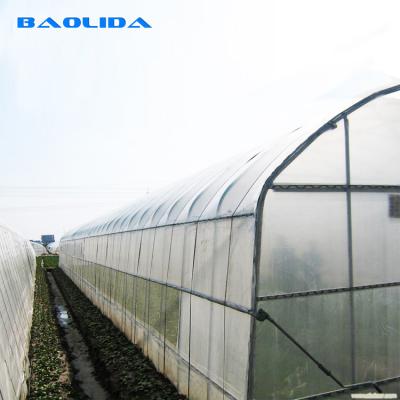 Chine Le plastique végétal de tunnel d'envergure simple élèvent agricole de Chambre galvanisé à vendre