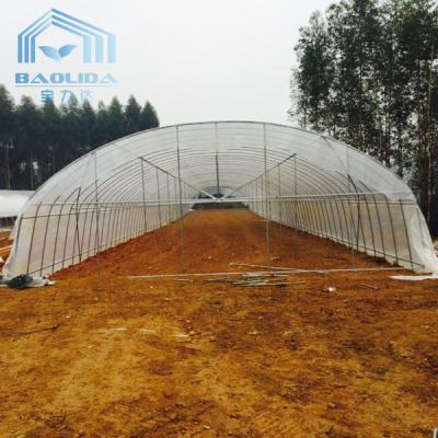 Chine Serre chaude en plastique de pellicule de polyéthylène de serres chaudes de tunnel d'envergure simple pour l'agriculture de légumes à vendre