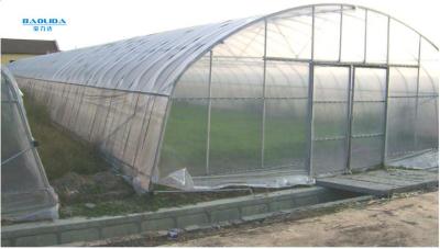 Chine Serre chaude en plastique de pellicule de polyéthylène de serres chaudes de tunnel d'envergure simple pour l'agriculture de légumes à vendre