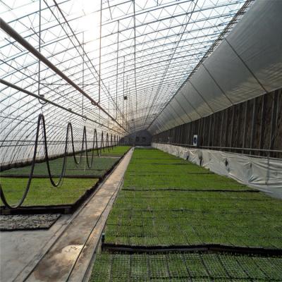 Cina Agricoltura che coltiva passivo idroponico solare della serra solare in vendita