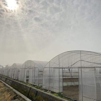 Κίνα Γαλβανισμένος χάλυβας 4m ενιαία κάλυψη 9m καυτής εμβύθισης ταινιών SpanWaterproof πλαστικό θερμοκήπιο σηράγγων προς πώληση