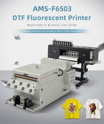 China Experiencia directa en transferencias de películas con una impresora de 60 cm A1 DTF y 3 cabezas I3200 en venta