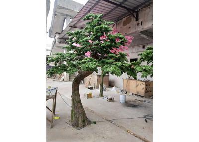 China 1m künstlicher Innenpodocarpus-Baum, kein schädlicher künstlicher Cedar Bonsai Tree zu verkaufen