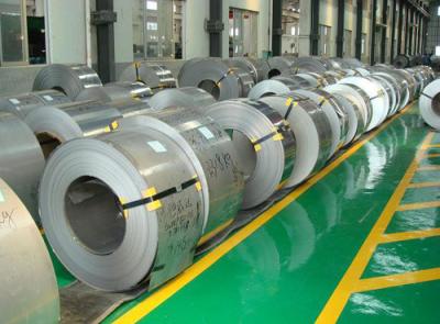 China Magnetische Grondstoffen, 201/301/304 Roestvrij staalstroken de Slang van de Loodgieterswerkdouche Te koop