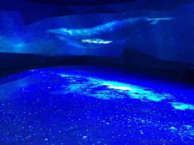 Cina L'esposizione di LED di Digital accende Dance Floor per colore pieno 1921 della festa nuziale SMD RGB in vendita