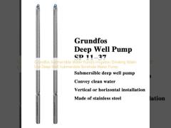 Grundfos 6 인치 전기 스테인리스 스틸 깊은 우물 펌프 SP 5A-60
