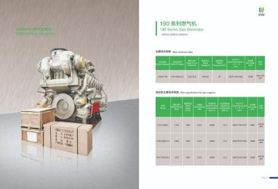 Cina Generatore di gas 500GF-Tk1 della serie 190 con servizi online Servizio post vendita in vendita