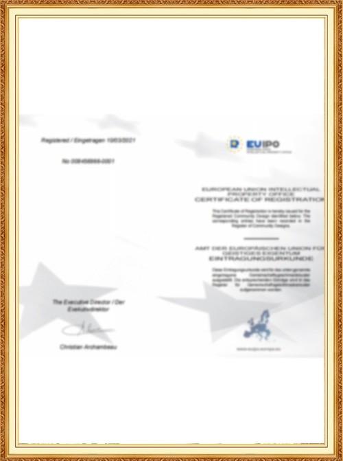 2 - Shenzhen Dayun Links Co., Ltd