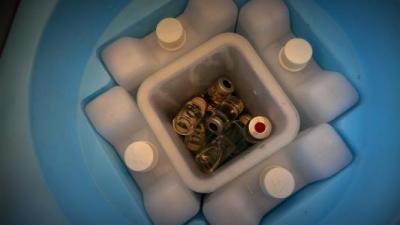 Chine Emballage matériel micro-encapsulé adapté aux besoins du client de chaîne du froid de produits de changement de phase à vendre