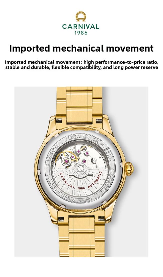 CARNIVAL Men Automatic Mechanical Wrist Watch, Stainless Steel Band, Diamond Bezel, Dual Calendar Luminous 30M Waterproof Business Dress Watch