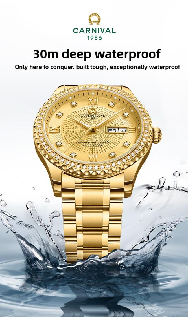CARNIVAL Men Automatic Mechanical Wrist Watch, Stainless Steel Band, Diamond Bezel, Dual Calendar Luminous 30M Waterproof Business Dress Watch