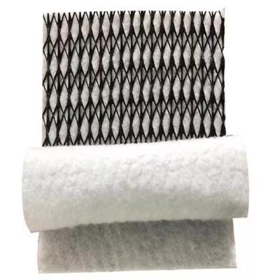 China HDPE Mesh 3D Composite Drainage Composite Geo Net Geonet voor duurzame drainage oplossing Te koop