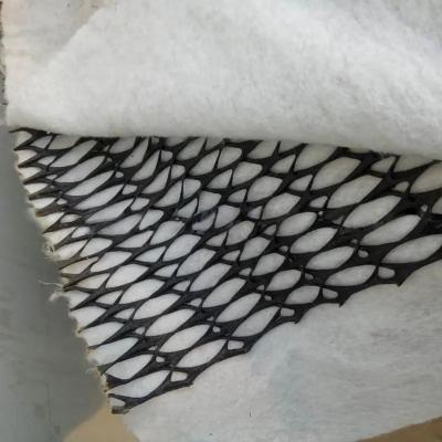 China Breedte 2m-4m Geonet Drainage Net voor composiet geotextiel Plastics Project Solutions Te koop