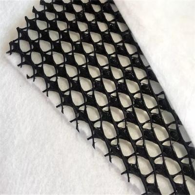China Cross Categories Consolidatie Geotextiel Composite Plastics Geonet Drainage Net voor wegen Te koop